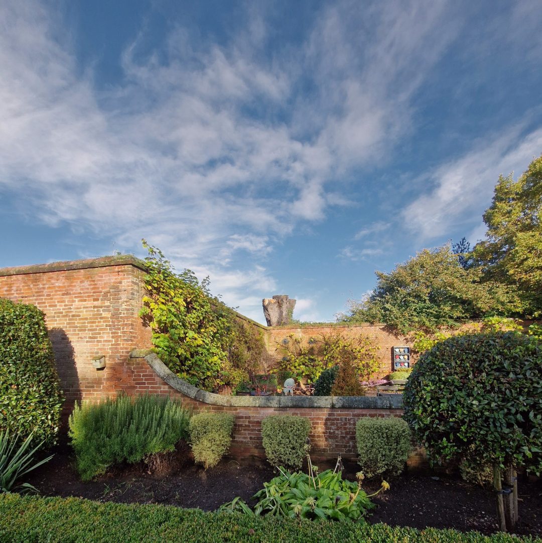 “Oh, that old chestnut”…. - Castle Bromwich Historic Gardens