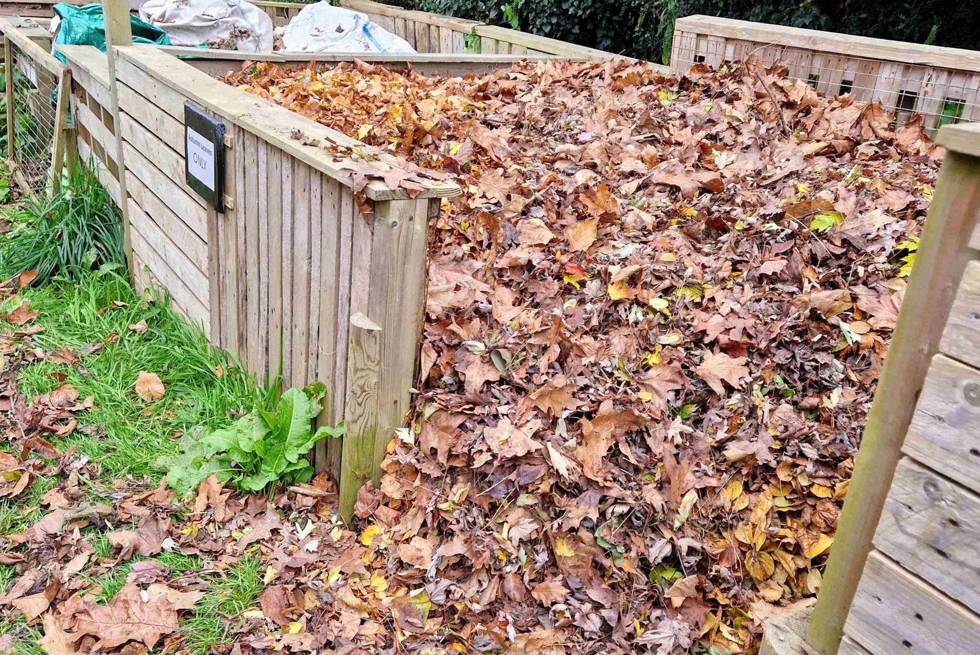 Free compost...'leaf it aaht!' - Castle Bromwich Historic Gardens